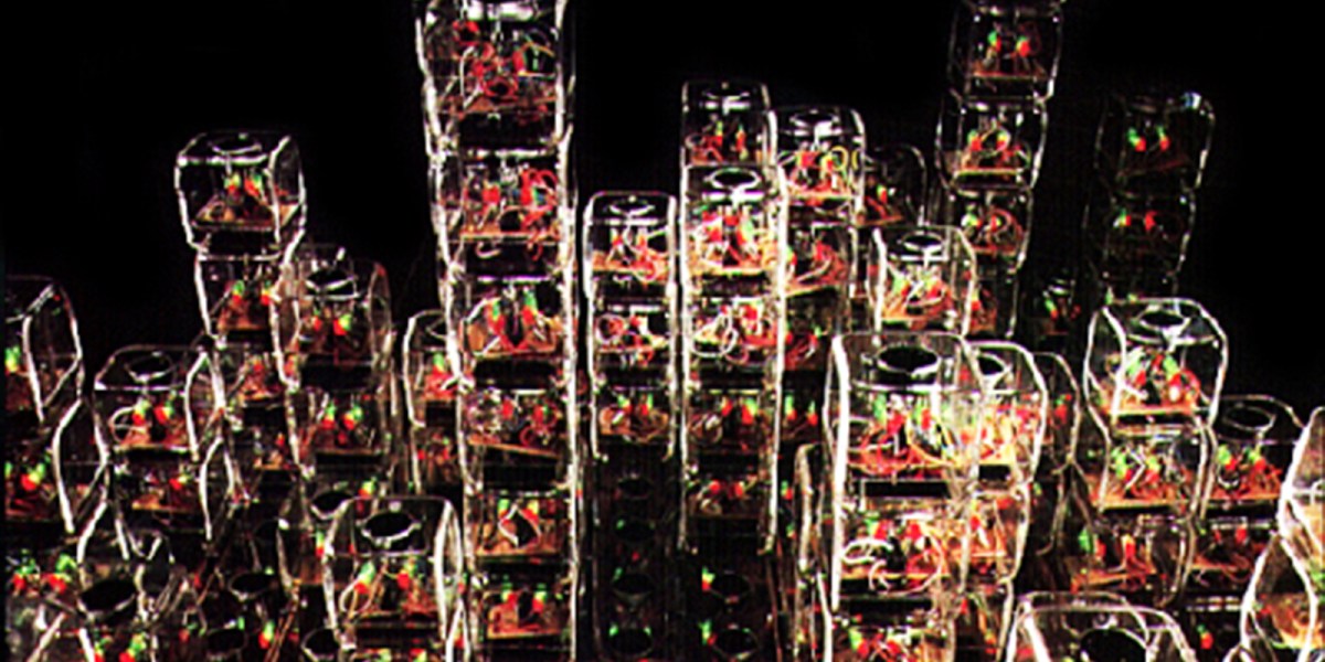 Research Parametric Monkey