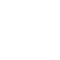 Parametric Monkey Do Better Things